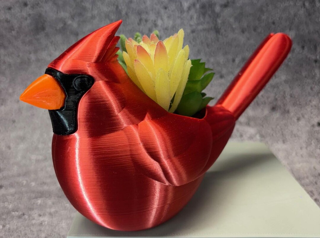 Medium Cardinal Planter for Succulents, Cactus or Any Plant (red Silk ...