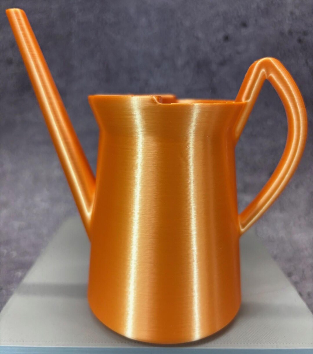 Mini Watering Can With Spill Blocker for Succulents, Cactus, Herbs or ...