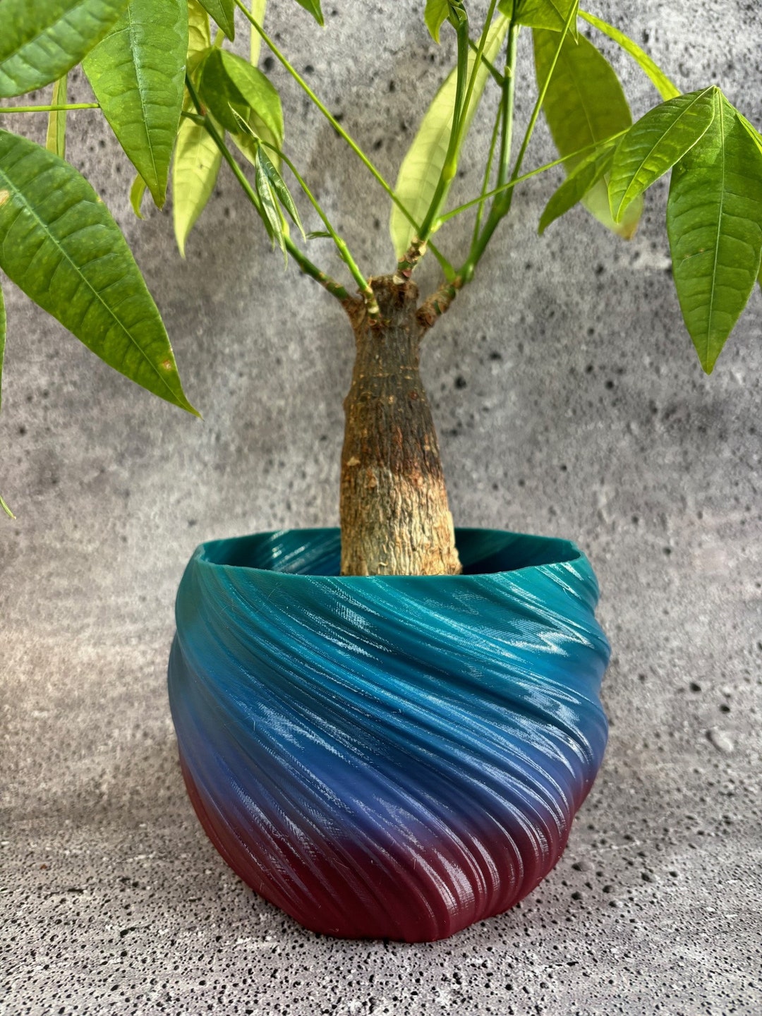 Medium Twisted Flower Pot for Plants of All Kinds 6 Diameter by 4.5 ...