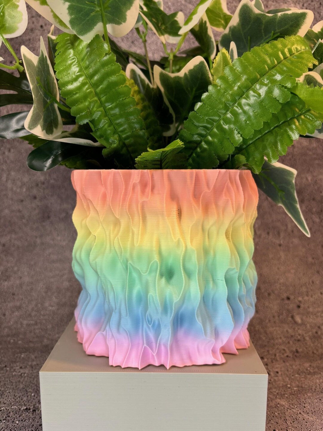 Unique Planter-medium Flowerpot for Plants of All Kinds (pastel Rainbow ...