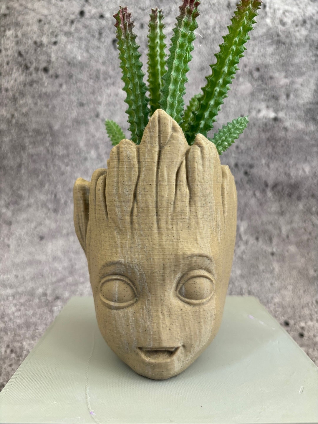 Small Groot Planter for Succulents, Cactus or Any Plant 2.625 Diameter ...