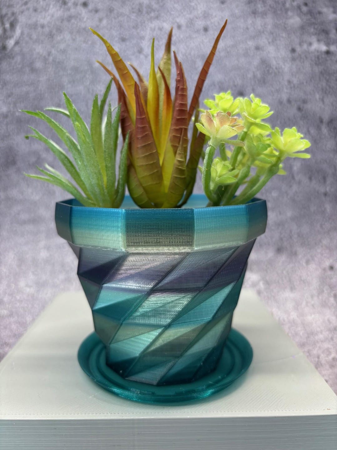 Small Flower Pot With Saucer for Plants of All Kinds - 3.75" Diameter ...
