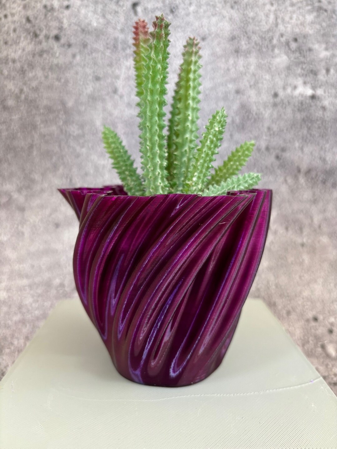 Unique Planter-small Flower Pot for Plants of All Kinds (gradient ...