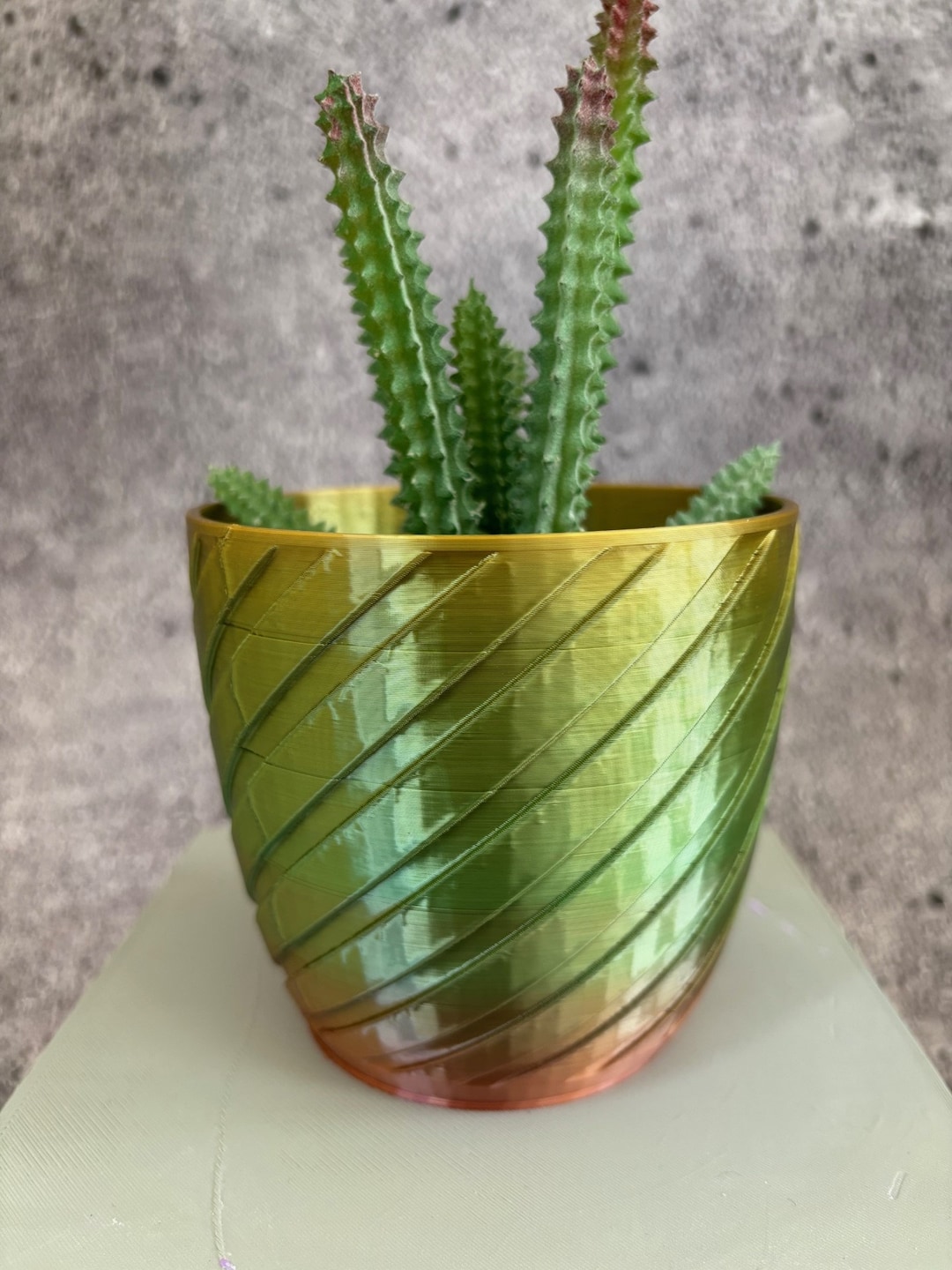 Unique Planter-small Flower Pot for Plants of All Kinds - 4" Diameter ...