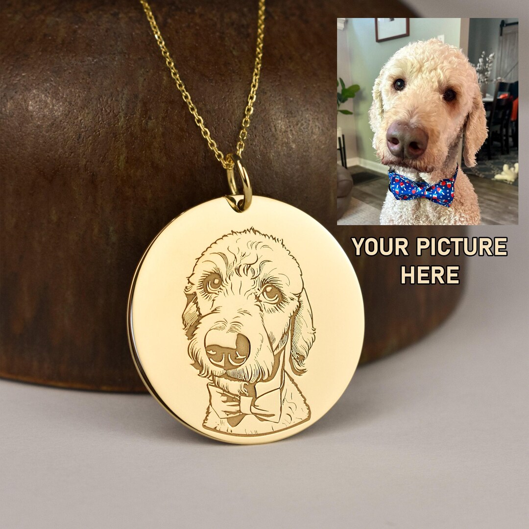 14K Gold Custom Dog Necklace, Pet Portrait Disc Pendant, Personalized ...