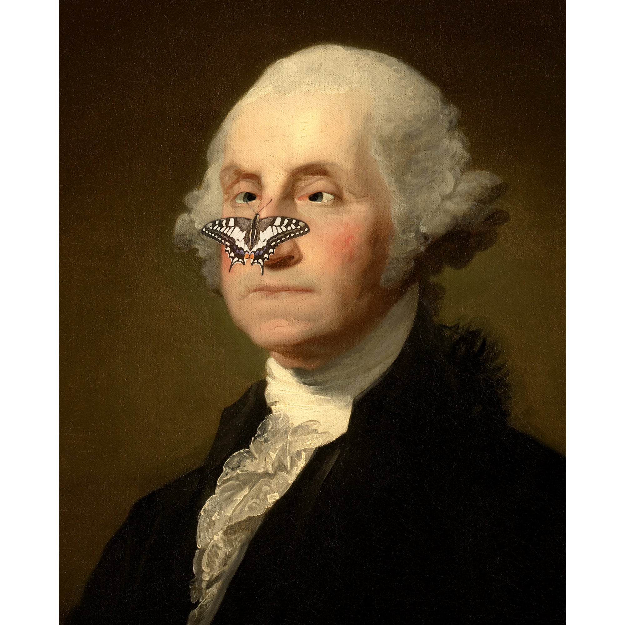 Funny George Washington Backgrounds