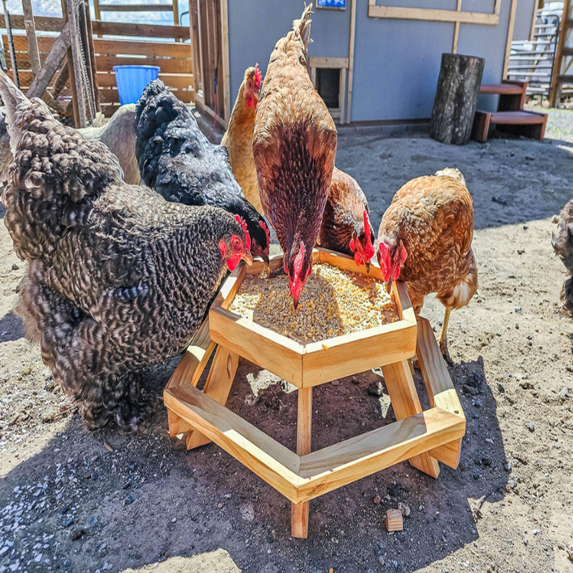 DIY Chicken Feeder , Farmhouse Chicken Feeder, Woodworking Chicken ...