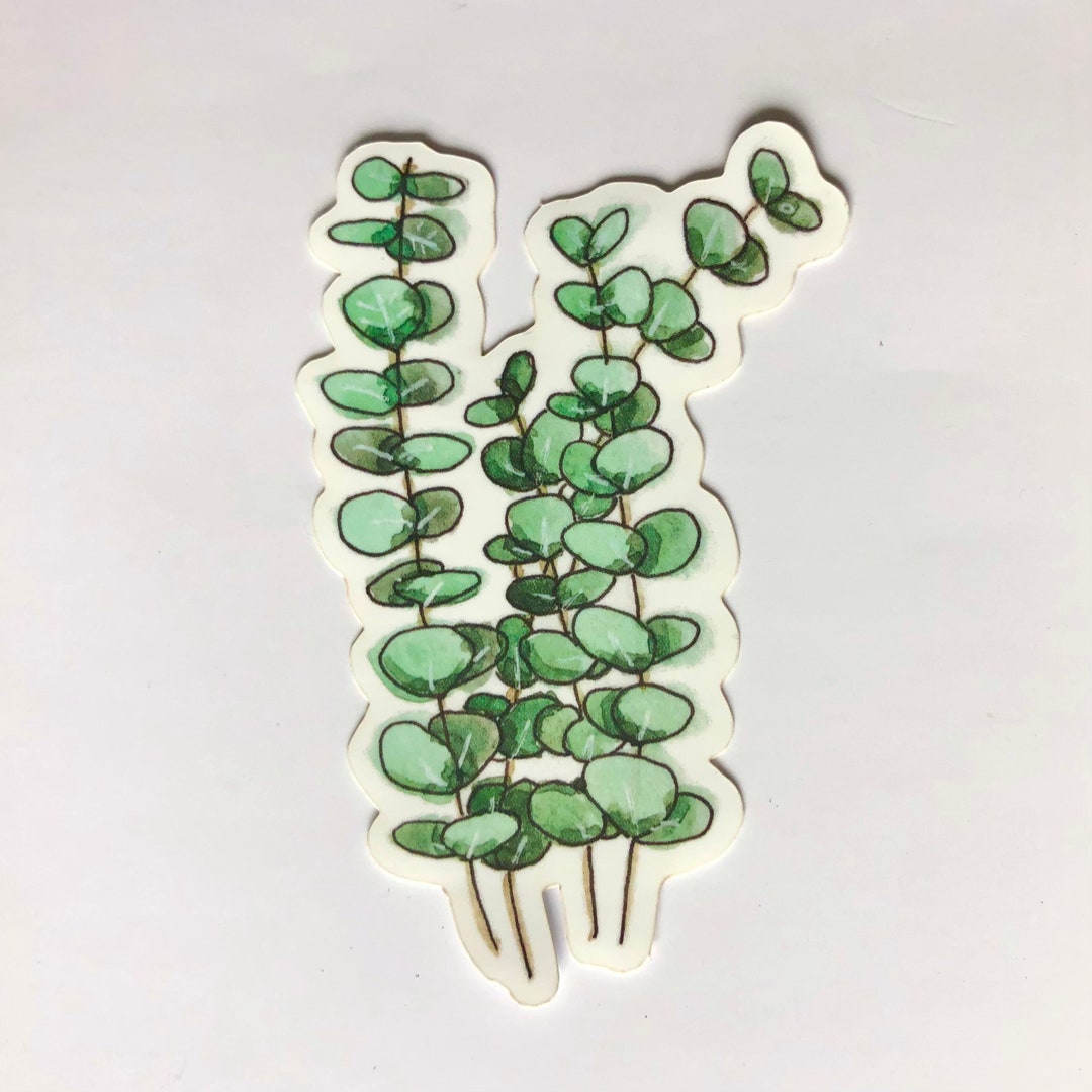 Eucalyptus Sticker, Cute Plant Sticker, Waterproof, Laptop Sticker - Etsy