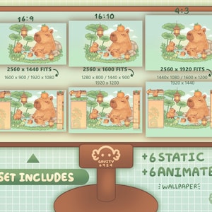 Windows/mac Capybara Onsen Desktop Wallpaper Organizer Set – Relaxing ...