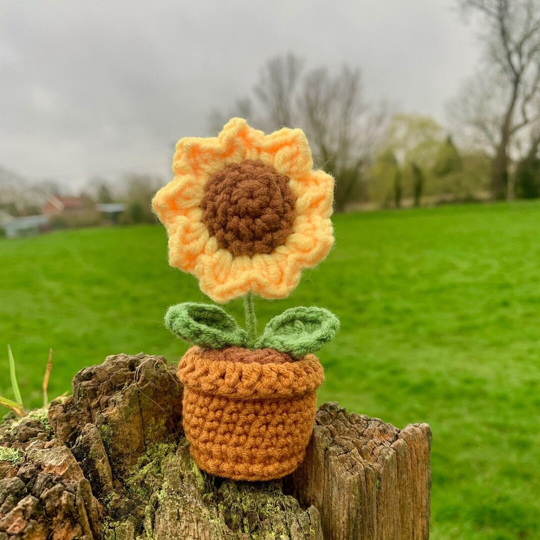 Crochet Sunflower/forever Sunflower/tiny Plant - Etsy