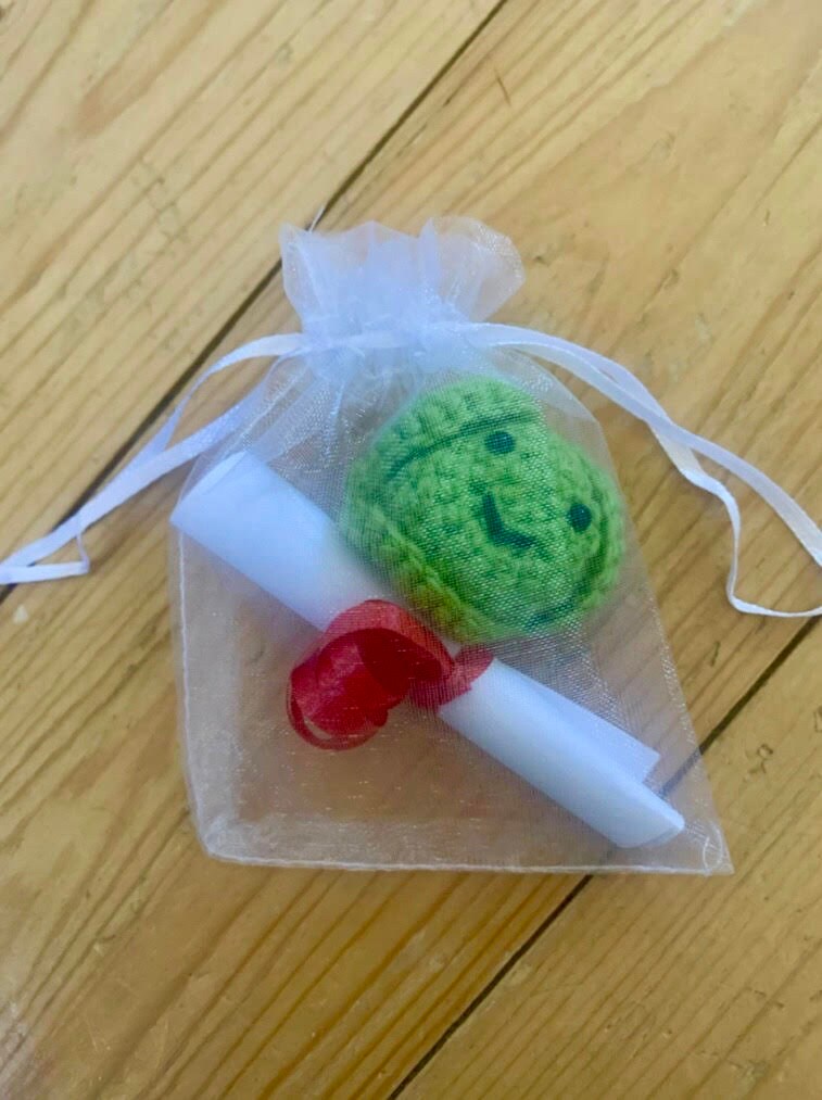 Adopt a Sprout Perfect Fun Present - Etsy