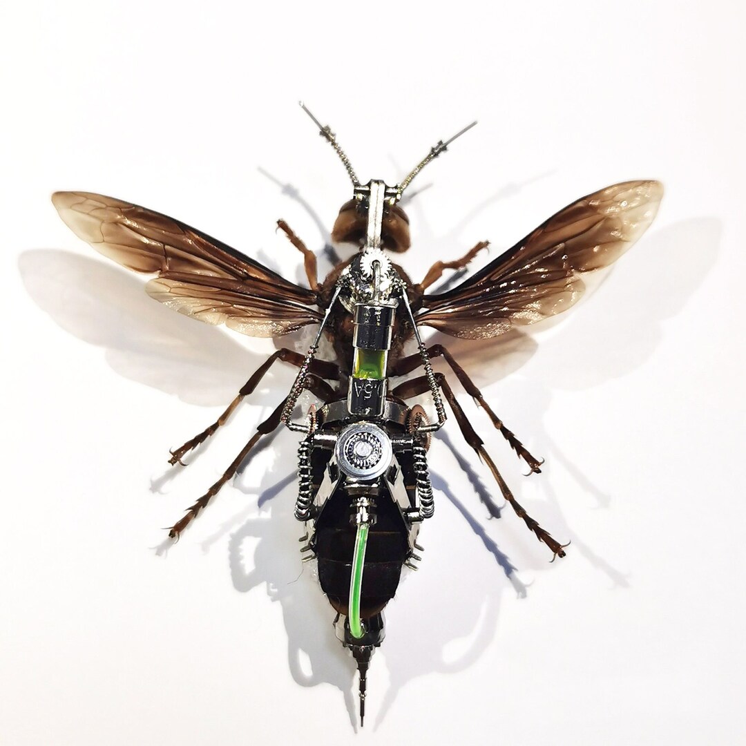 Steampunk Cyberpunk Beetle Insect Machenical Creatures Sculpture ...