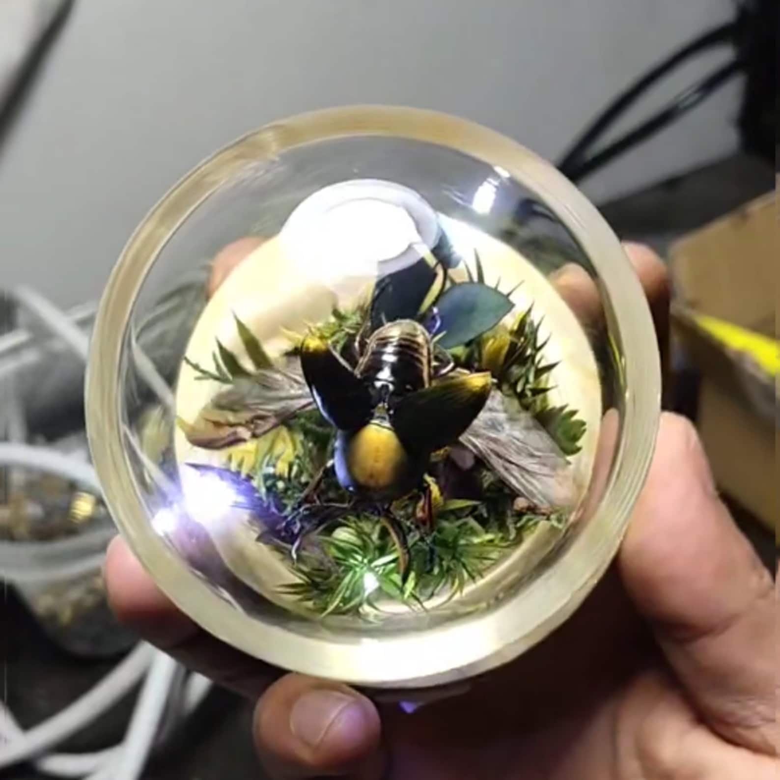 Mechanical Beetle With Flapping Wings Real Insect Kinetic Sculpture ...
