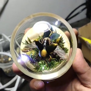 Mechanical Beetle With Flapping Wings Real Insect Kinetic Sculpture ...