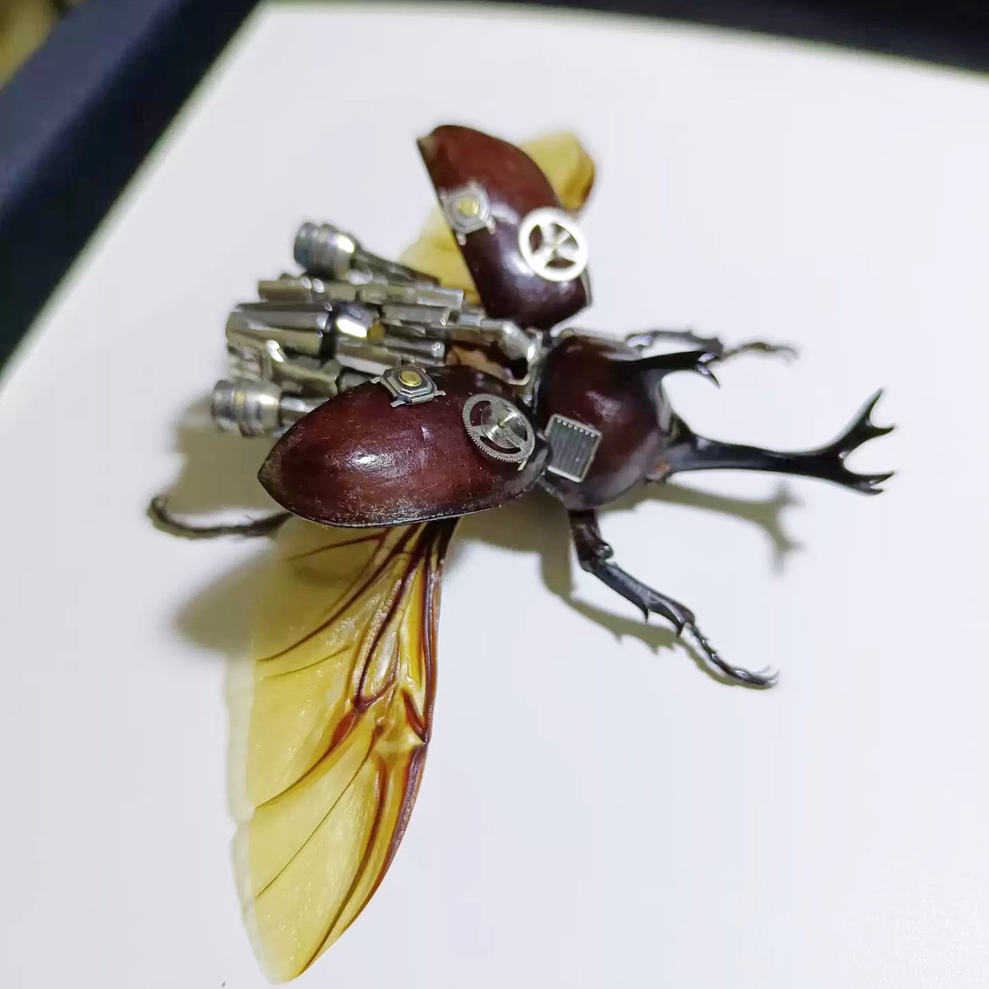 Steampunk Cyborg Mechanical Beetle Insects Bugs Biomech - Etsy