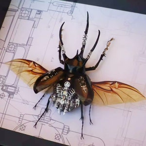 Steampunk Beetle Insect, Real Chalcosoma Atlas, Cyberpunk Sculpture ...