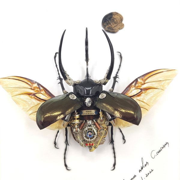 Steampunk Science - Etsy