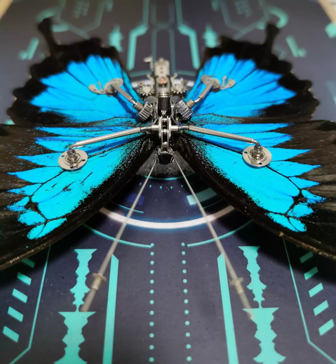 Cyberpunk Butterfly Papilio Ulysses With A Mechanical Wing - Etsy
