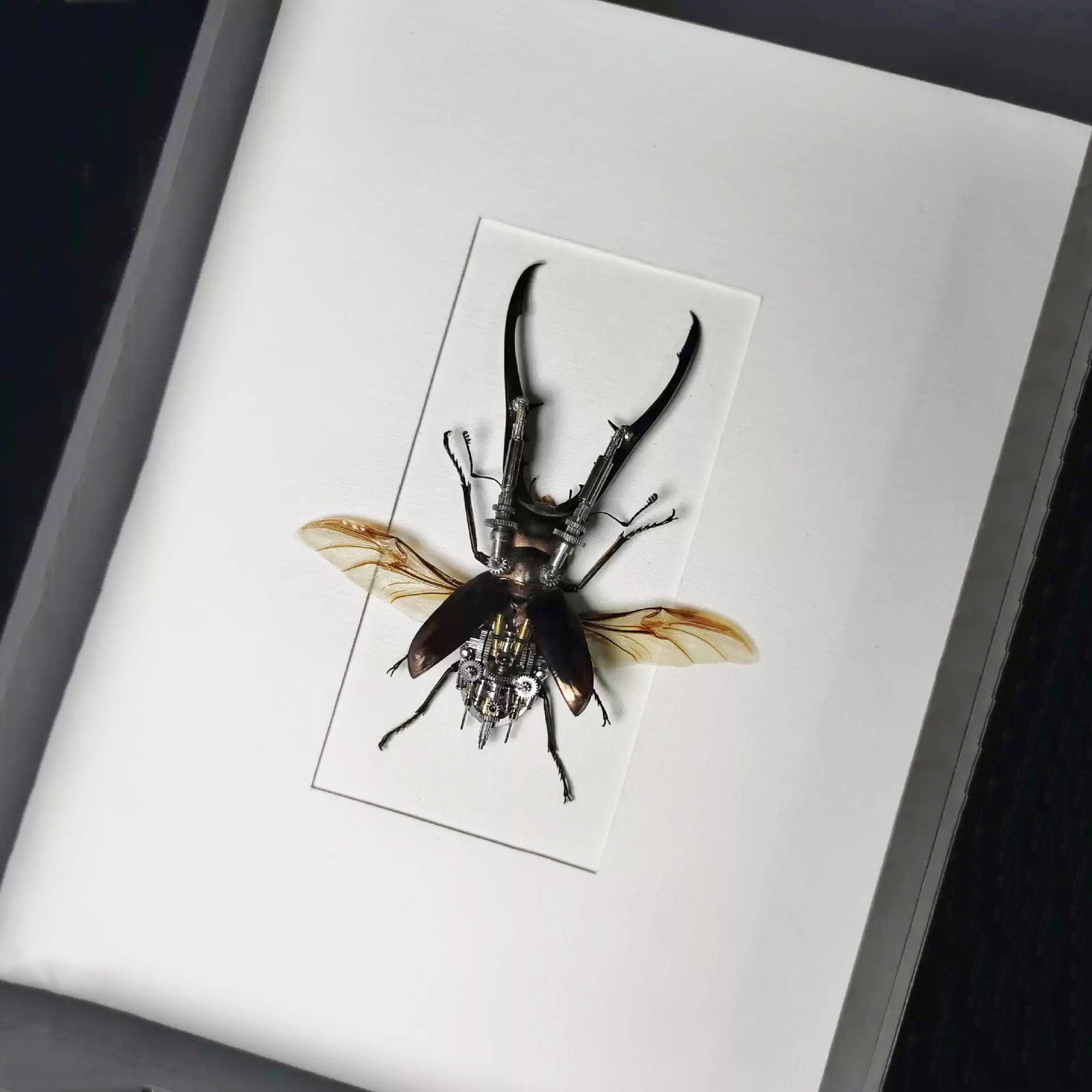 Mechanical Beetle Insects Bugs Art Inspired by the Edward Scissorhands ...