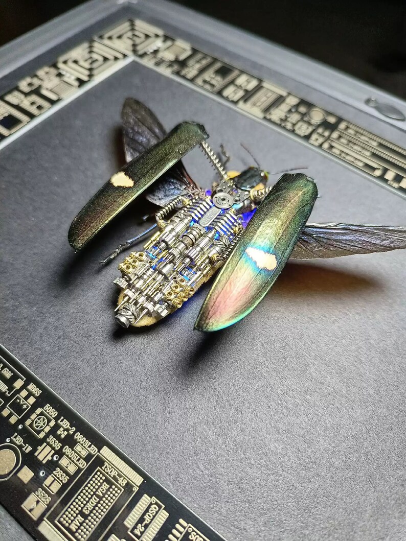 Steampunk Cyberpunk Beetle Insect Mechanical Creatures Kinetic ...