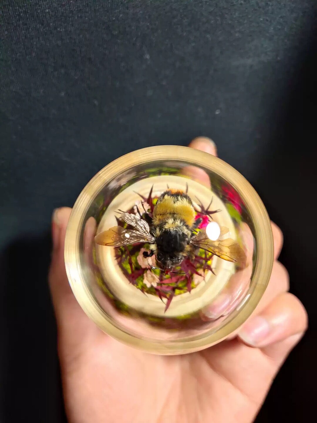 Mechanical Bumblebee Diorama the Smallest Mechanical Insect With ...