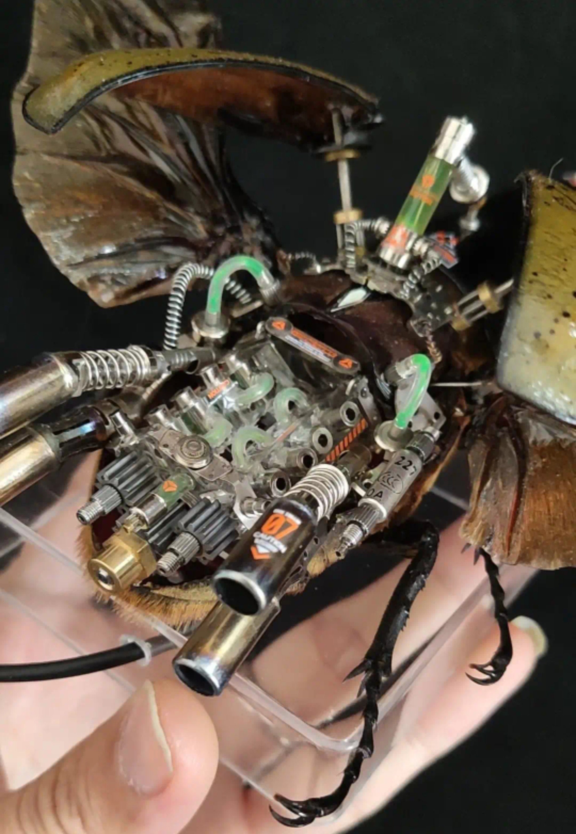 Steampunk Beetle Insect Machine Clockwork Dynastes Neptunus - Etsy UK