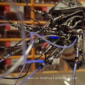 Nautilus Mechanical Mutant, Robot Creature Animals, Handmade Biomech ...