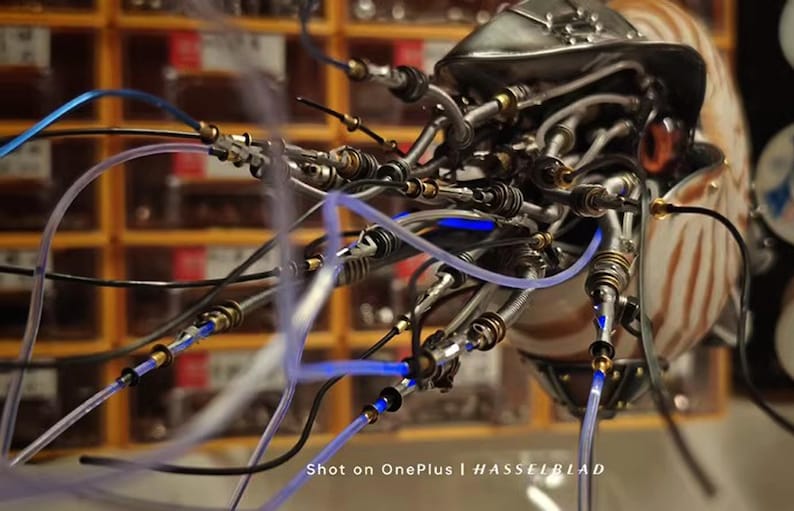 Nautilus Mechanical Mutant, Robot Creature Animals, Handmade Biomech ...