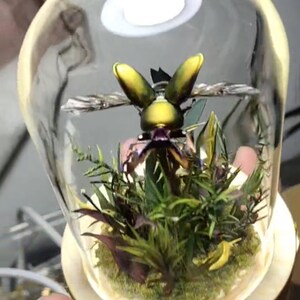 Mechanical Beetle With Flapping Wings Real Insect Kinetic Sculpture ...