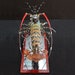 Lobster Mechanical Mutant 3D Robot Creature Animals Handmade - Etsy