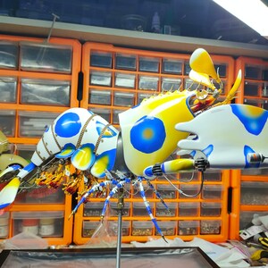 Mechanical Mutant 3D Harlequin Shrimp Sculpture Handmade Crafts ...