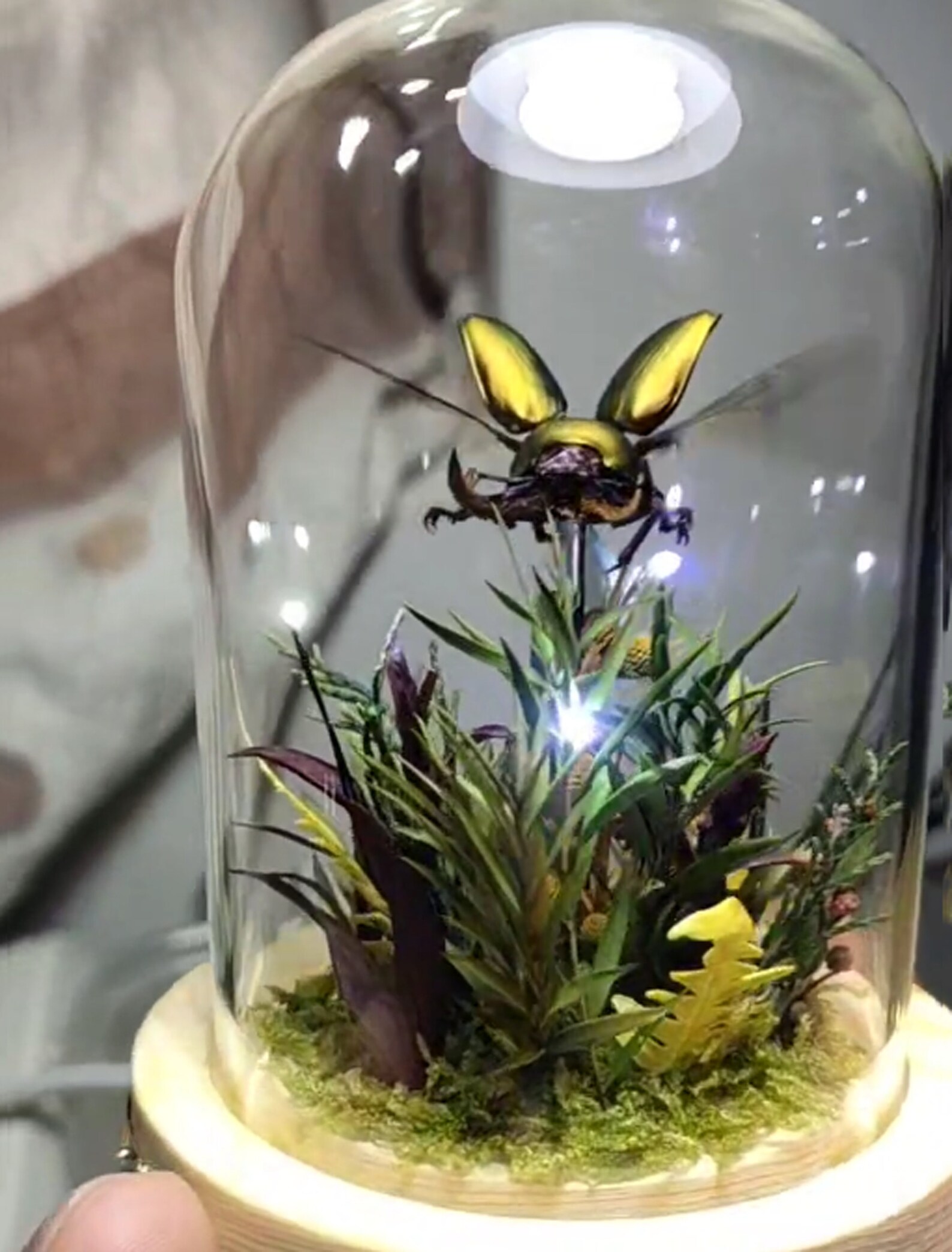 Mechanical Beetle With Flapping Wings Real Insect Kinetic Sculpture ...