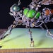 Mechanical Dragonfly Mutant, Sci-fi Fantasy Figurine, 3D Robot Creature ...
