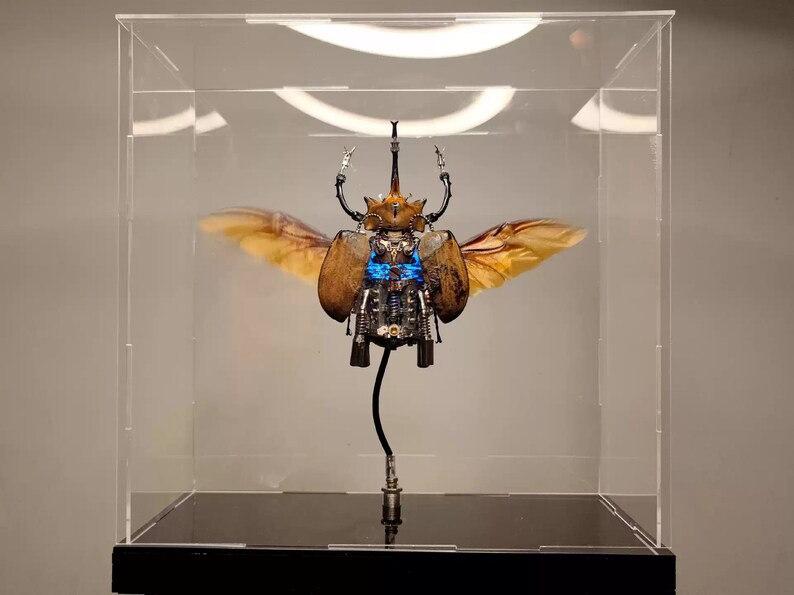 Steampunk Cyborg Mechanical Beetle Insects Bugs Kinetic - Etsy
