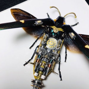 Steampunk Cyberpunk Beetle Insect Mechanical Creatures Sculpture ...