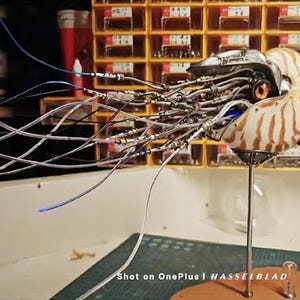 Nautilus Mechanical Mutant, Robot Creature Animals, Handmade Biomech ...