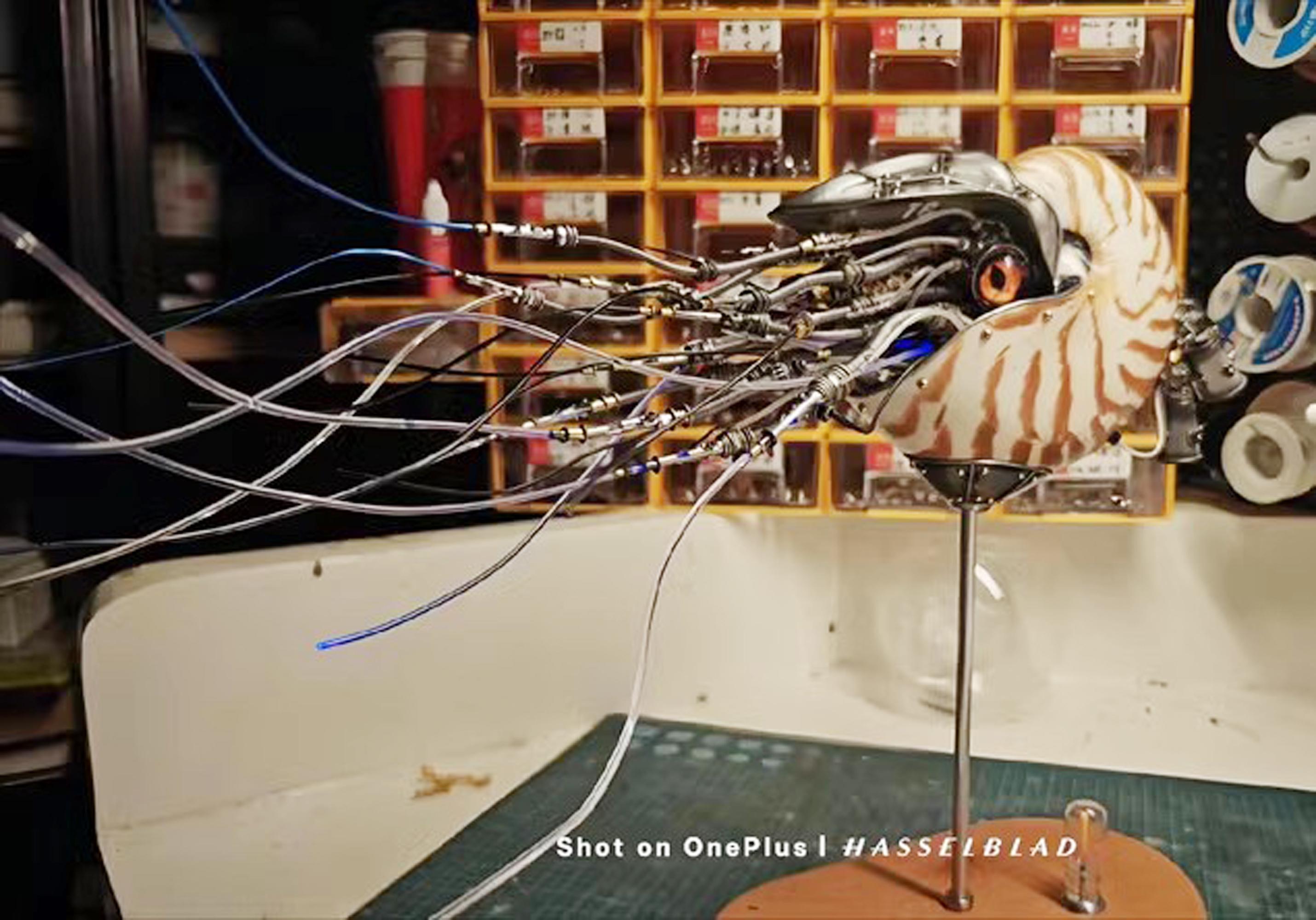 Nautilus Mechanical Mutant, Robot Creature Animals, Handmade Biomech ...
