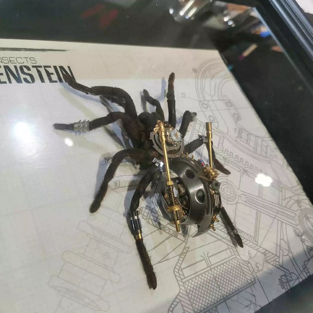 Steampunk Tarantula Spider Features A Wheel-like Abdomen Generates and ...