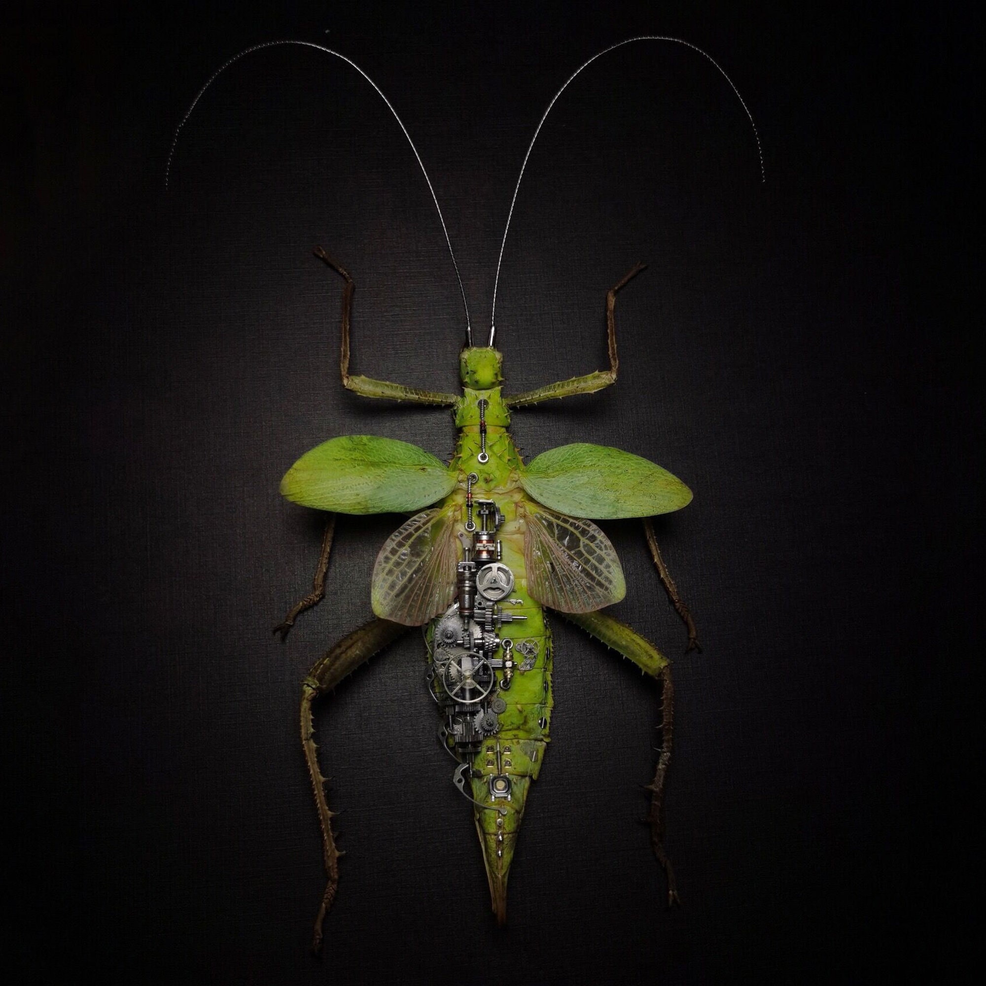 Steampunk Giant Stick Insect Beetles Insect Machine Sculpture Handmade ...