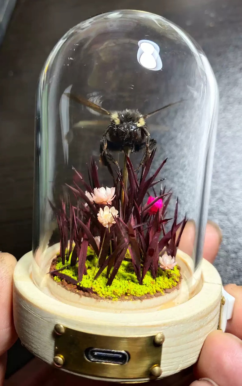 Mechanical Bumblebee Diorama the Smallest Mechanical Insect - Etsy