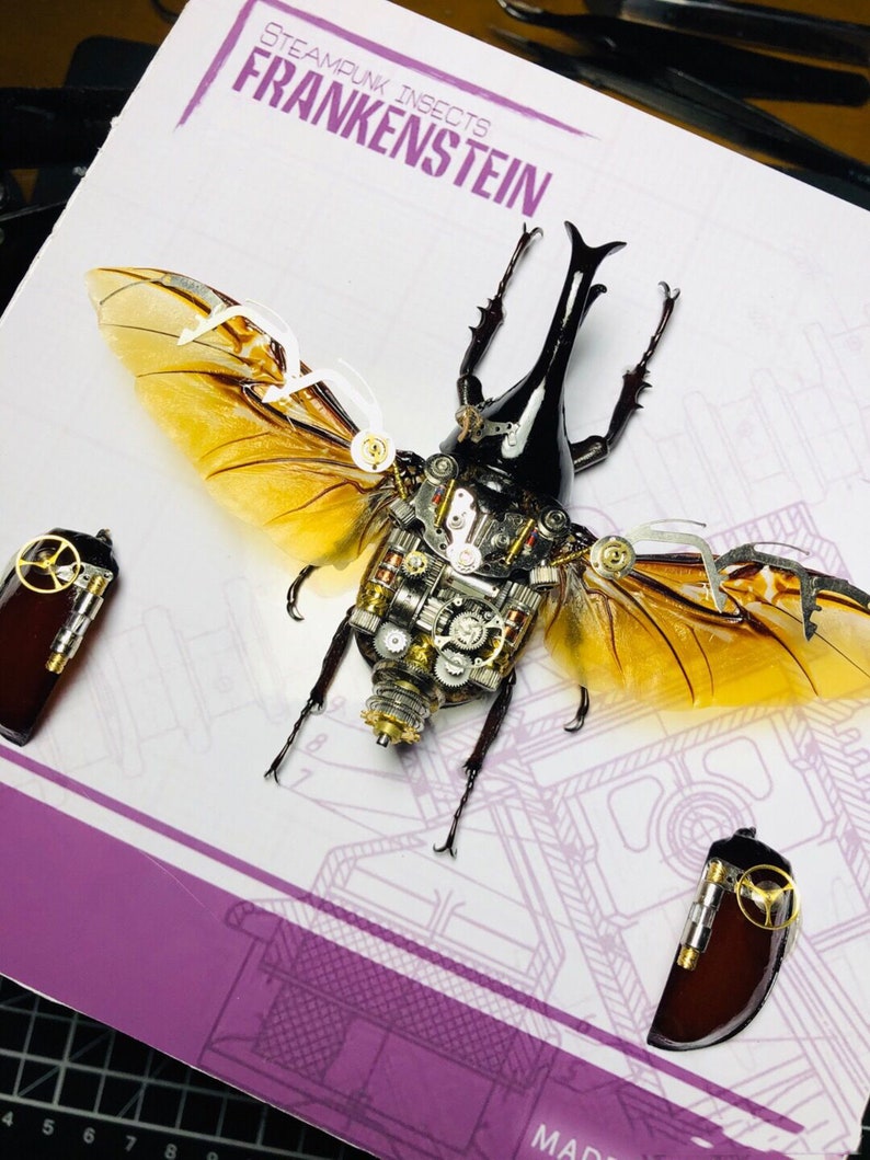 Steampunk Cyberpunk Beetle Insect Machenical Creatures - Etsy