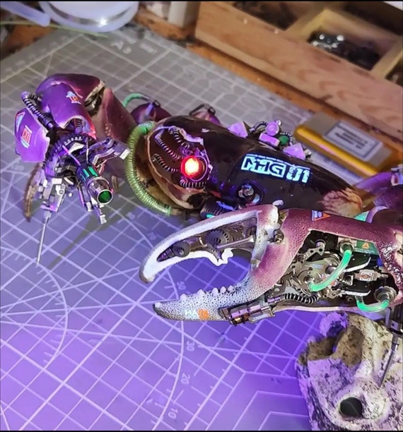 Steampunk Crab Beetle Handmade Clockwork Real Gecarcoidea - Etsy