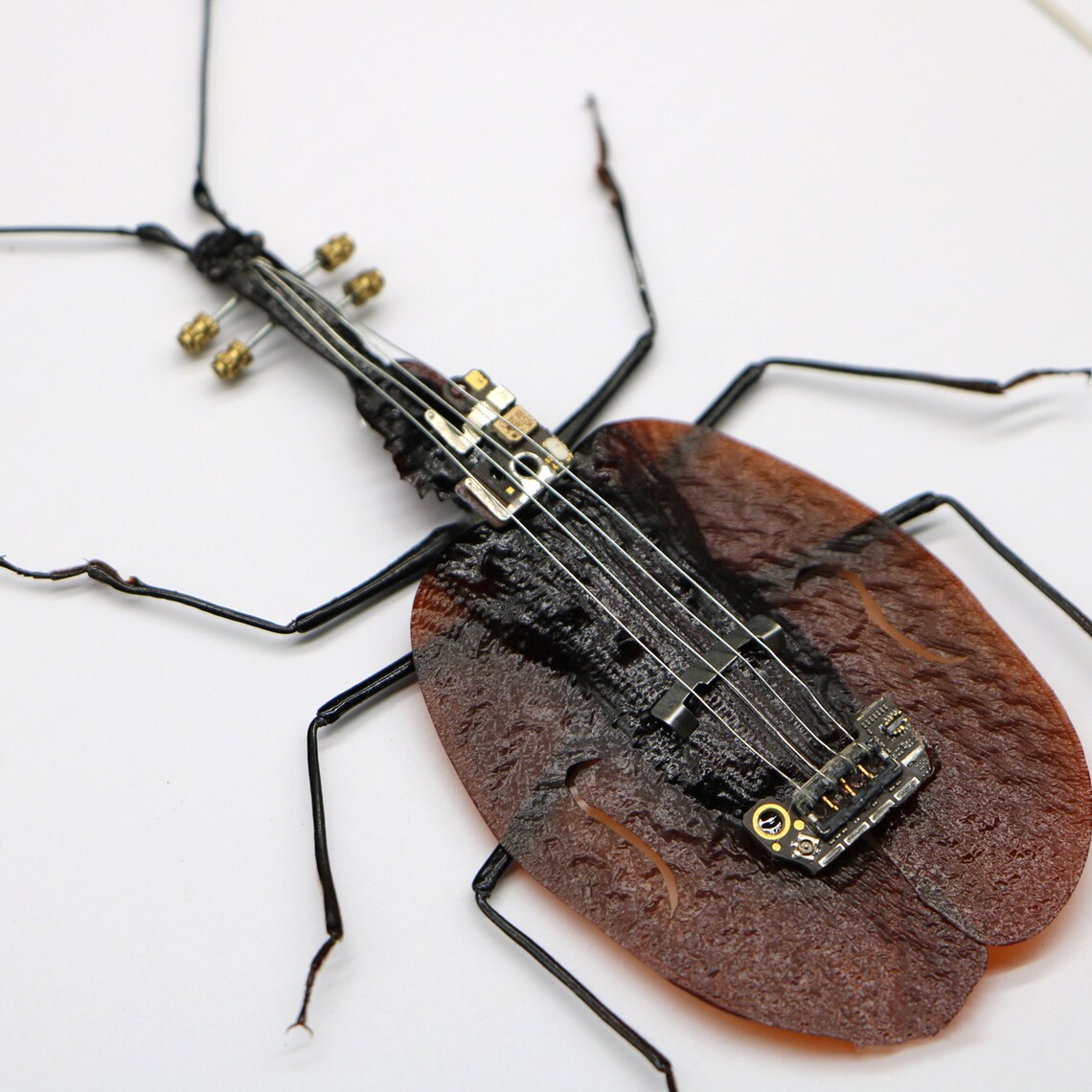 Steampunk Violin Fiddle Beetle Mormolyce Phyllodes Insect | Etsy