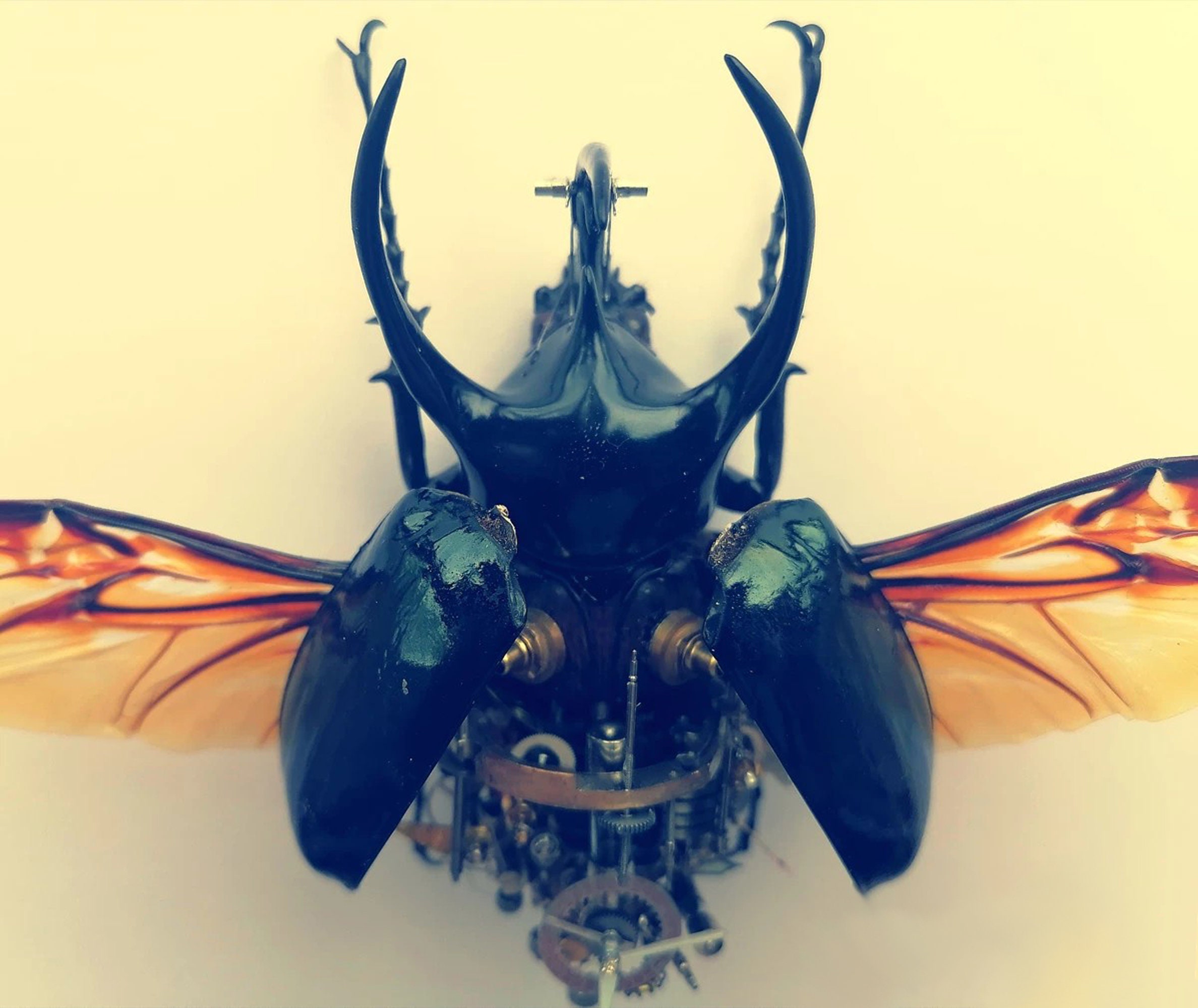 Steampunk Cyborg Mechanical Beetle Insects Bugs Fantasy - Etsy