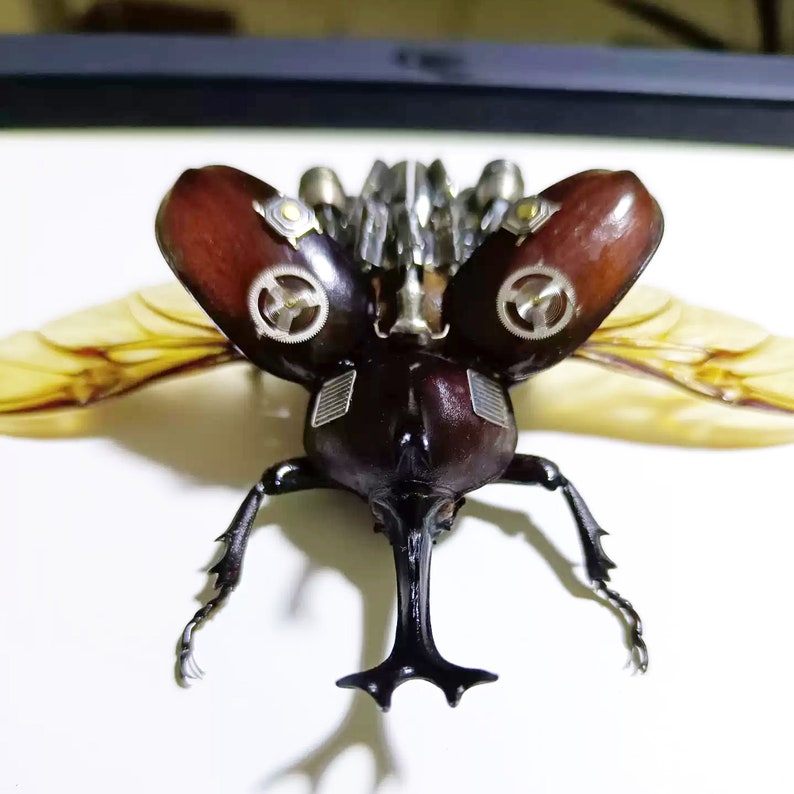 Steampunk Cyborg Mechanical Beetle Insects Bugs Biomech - Etsy