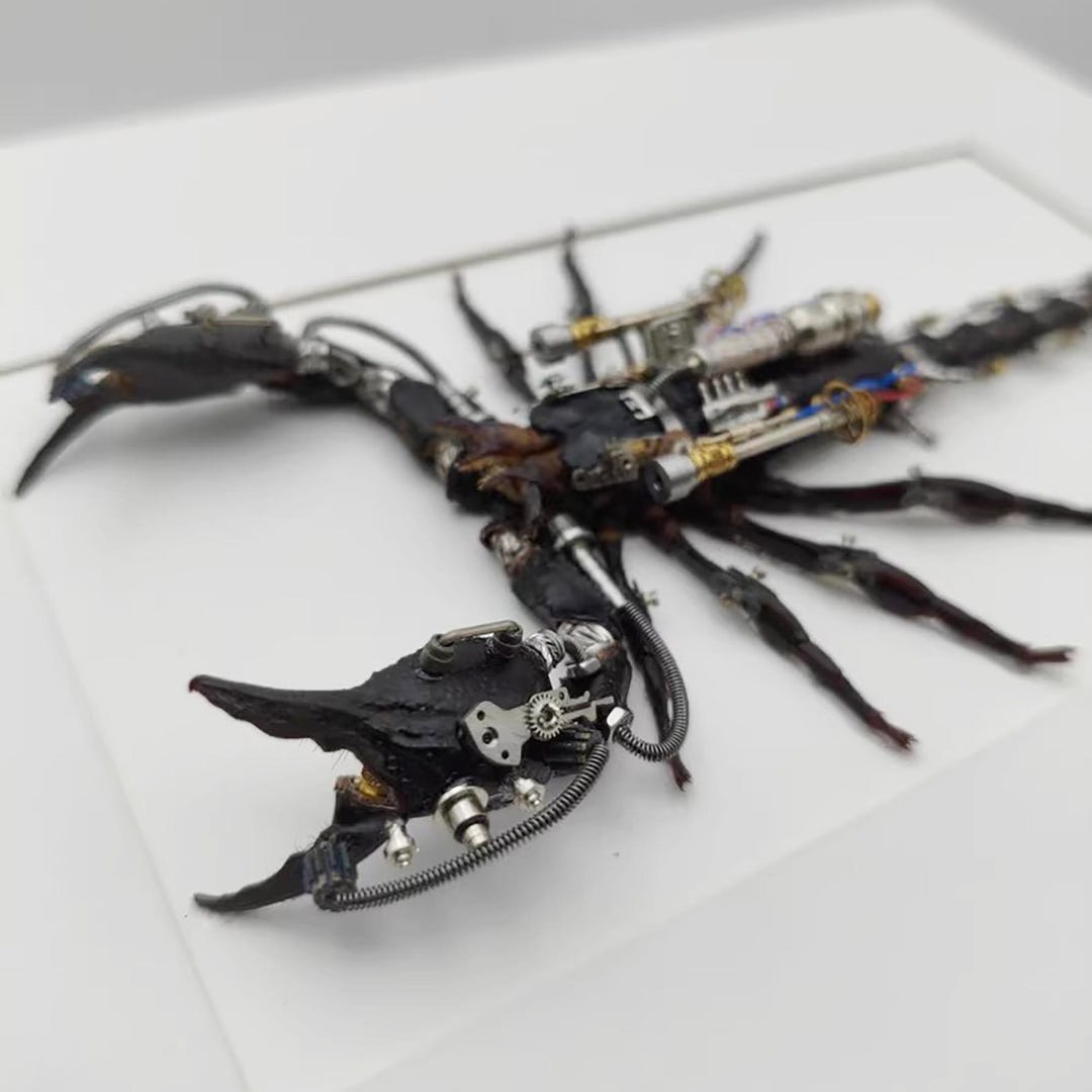 Steampunk Scorpion Beetle Insect, Made With Clockwork & Real Scorpion ...