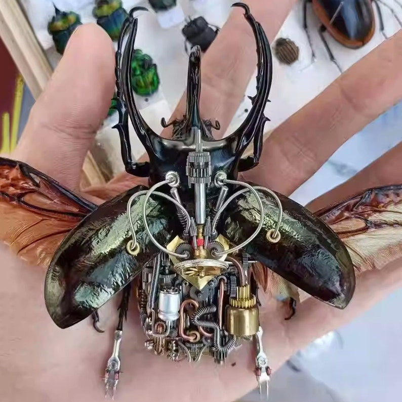 Steampunk Beetle Insect Real Chalcosoma Atlas Cyberpunk - Etsy
