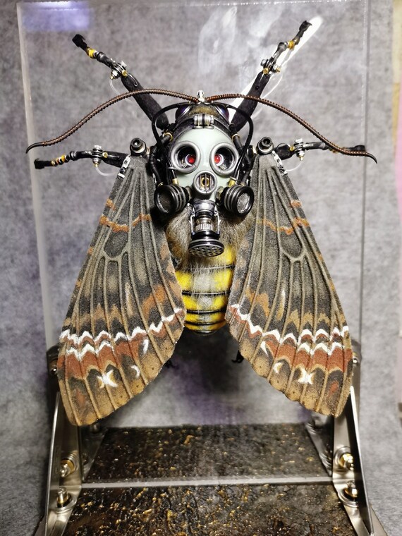 Death's-head Hawkmoth Mechanical Mutant 3D Robot Creature | Etsy