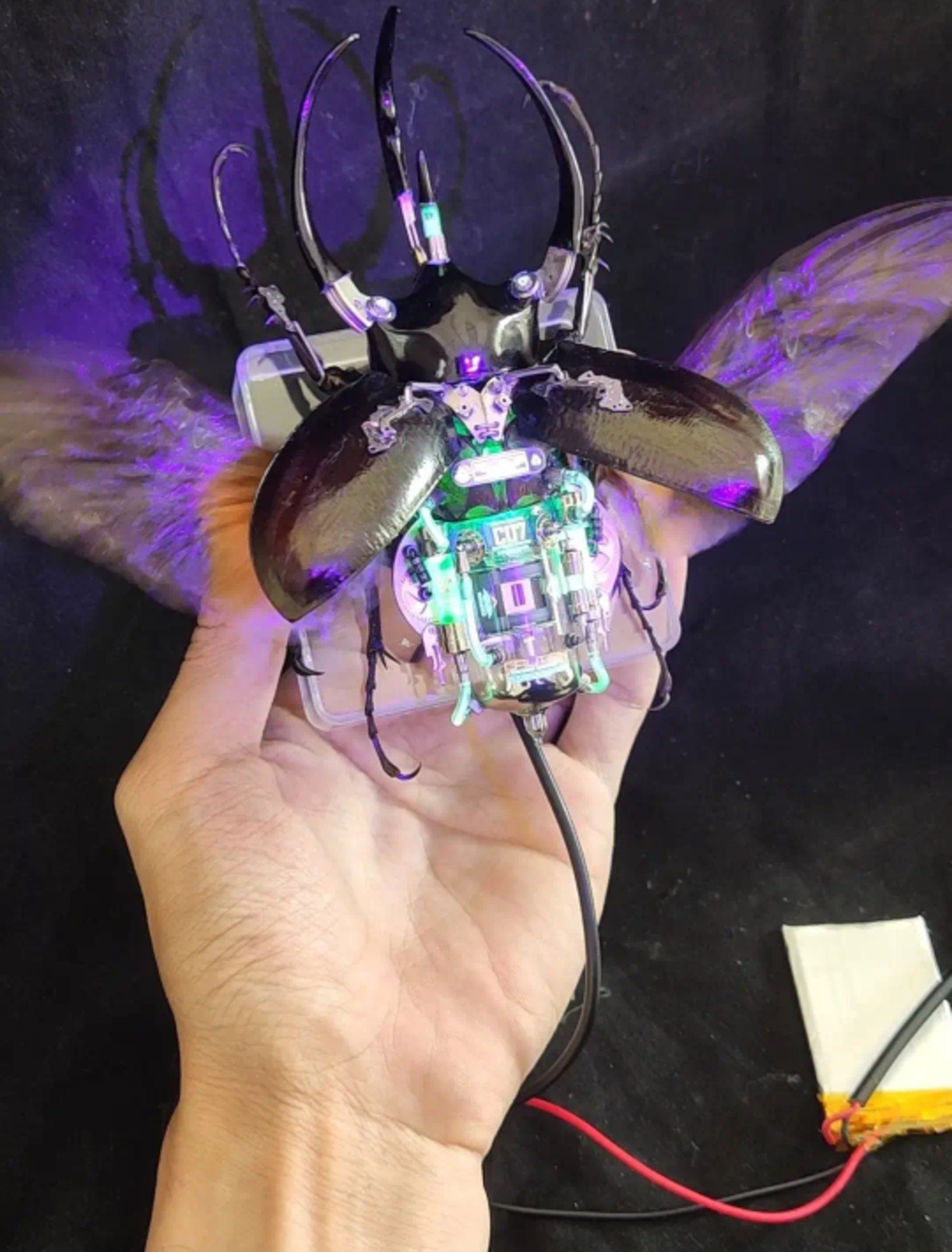 Steampunk Cyborg Mechanical Beetle Insects Bugs Kinetic - Etsy