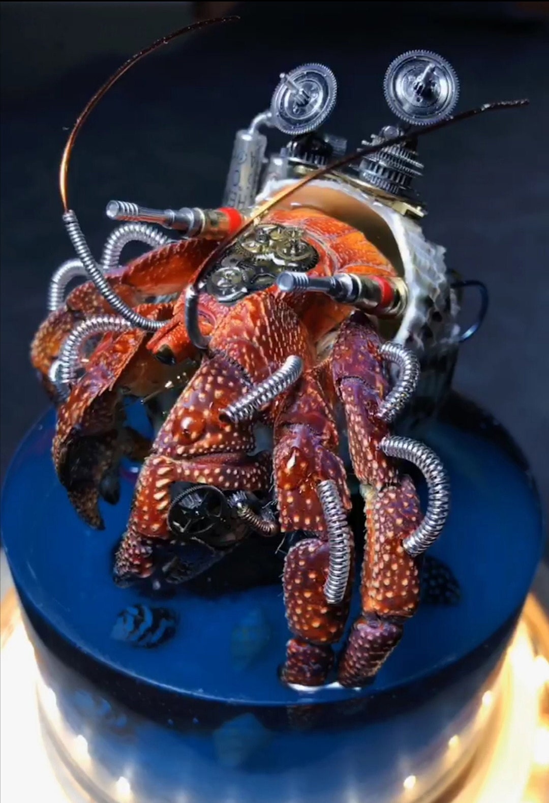 Steampunk Cyborg Crab Sculpture, Mechanical Insect Art - Etsy